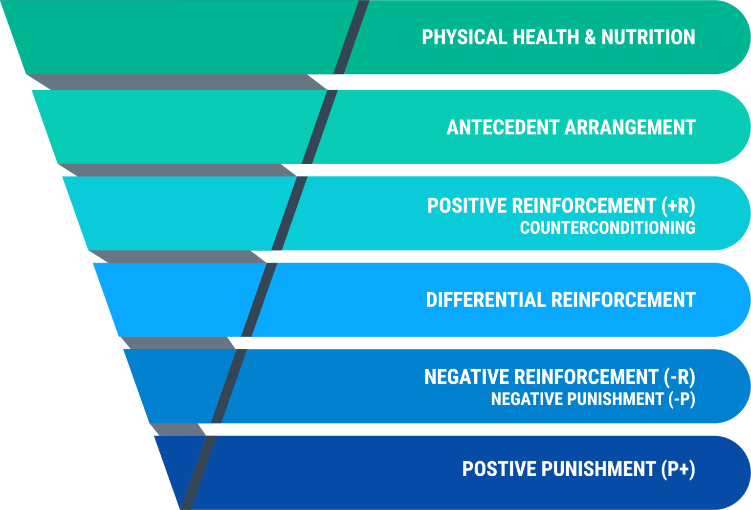 Our Puppy & Dog Training Philosophy - KC Dawgz Academy